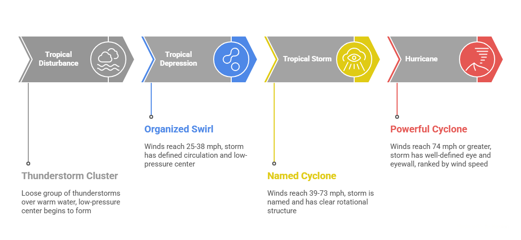 Stages of a Hurricane Explained: From Disturbance to Storm